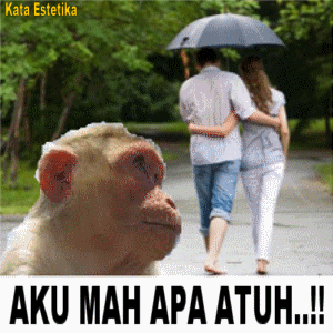 Gambar Lucu | Penuh Inspirasi | Kocak | Kata Estetika