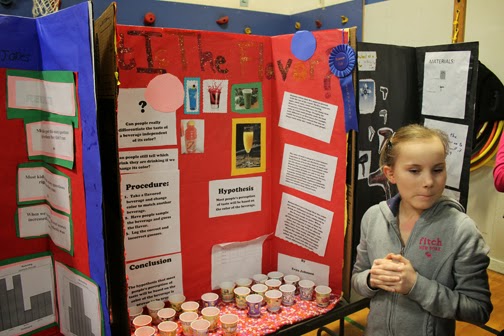 Sunnyland 4th Grade!: Science Fair!