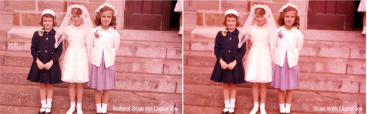 Slide, Film, Photo Scanning: FREE tips On How To Get Quality Digital ...