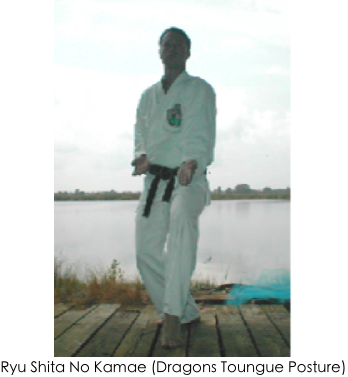 Isshinryu Karatedo Kobudo: The Postures of Isshin-ryu Karate