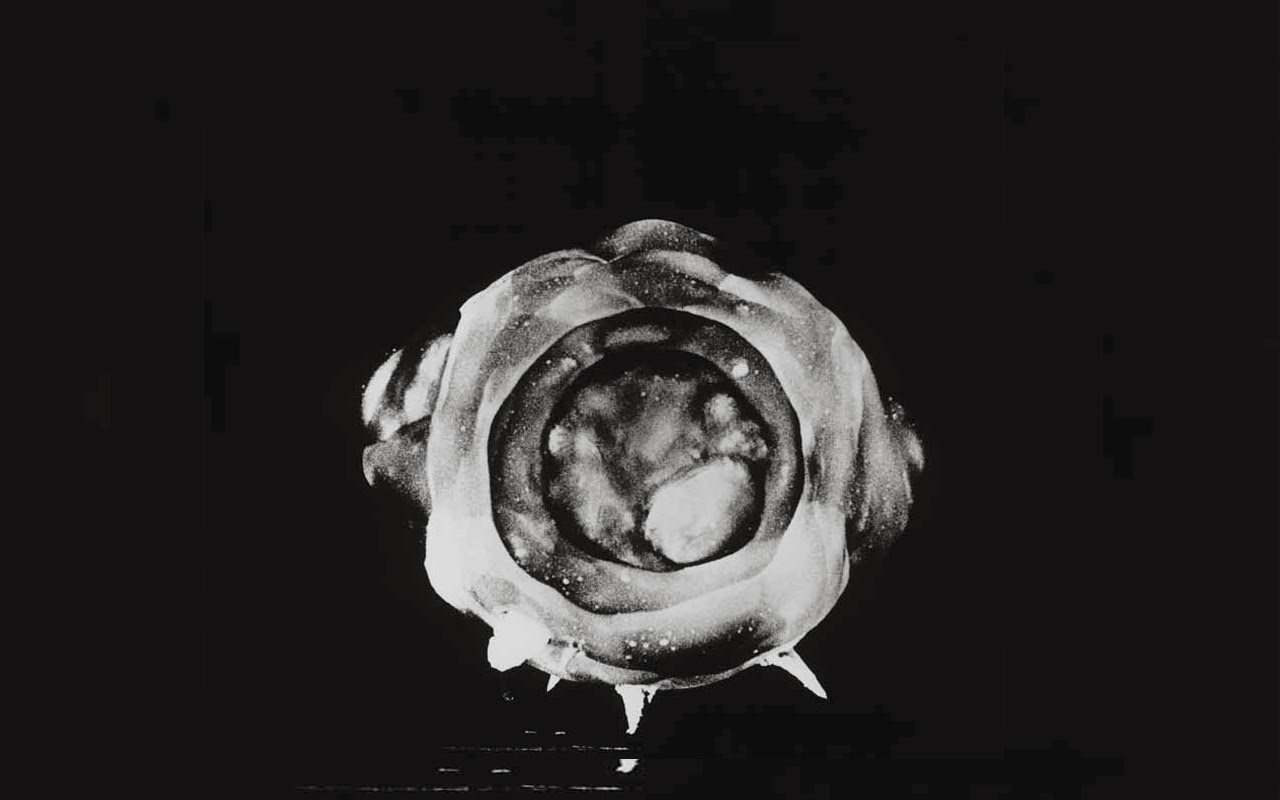 World Of Technology: Photographs of Atomic Bomb Tests Are Like Science ...