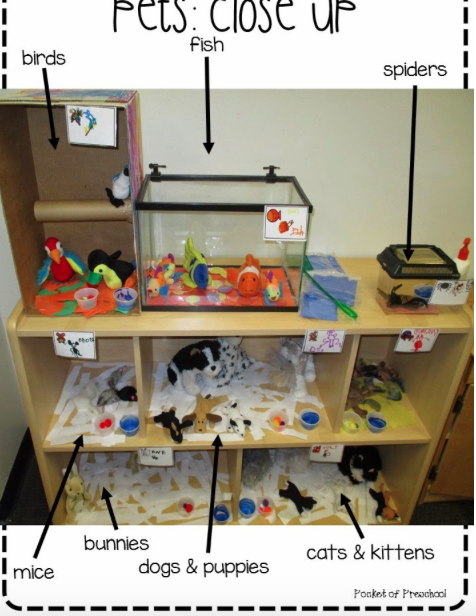 Kinderpond Jr.: Vets and Pets Week