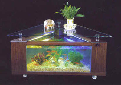 Contoh Aquarium Meja Yang Keren Unik dan Menarik - Dunia Akuarium