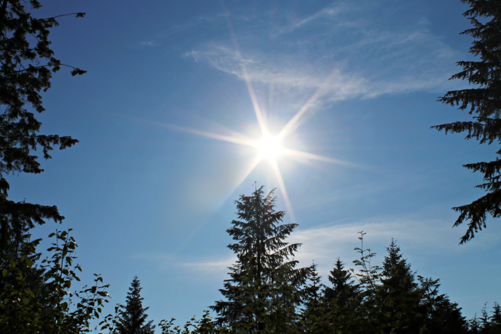 Sandra's Alaska Photography: June 23, 2012: Glorious Sunshine with Bald ...