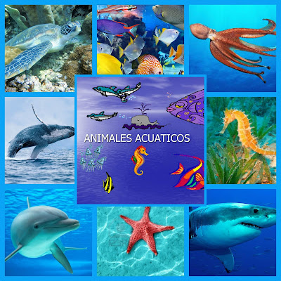 BLOG DE LAS TICS : COLLAGE