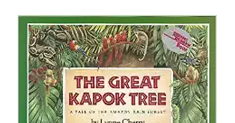 Create Your Balance With Literacy