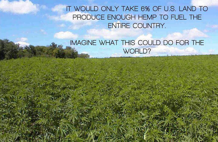 * H e m p ~ S a i l s