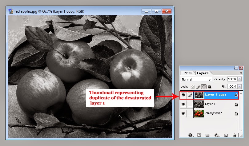 History Brush Tool : Restores the lost color information in a ...