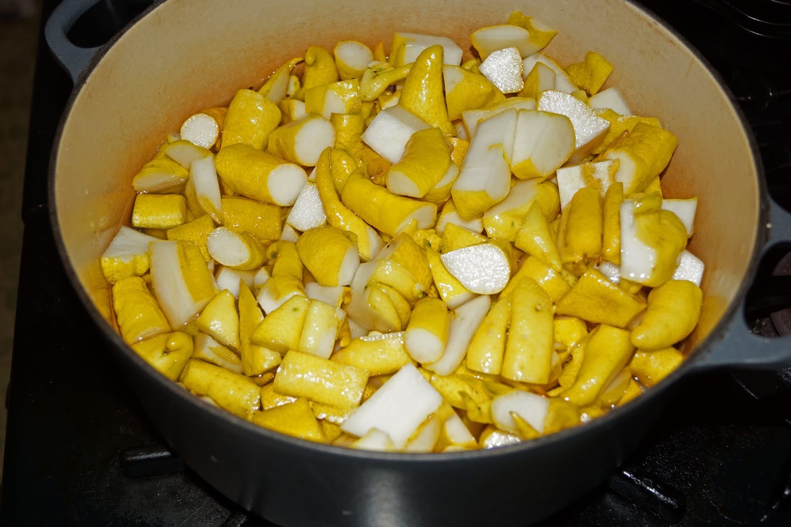 MAD MEAT GENIUS: BUDDHA"S HAND CANDY