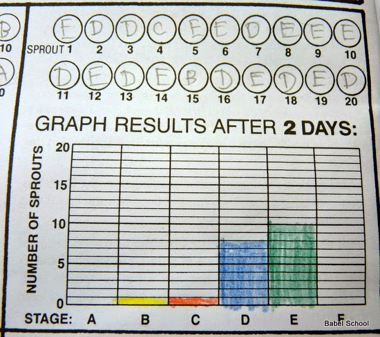 TOPS Green Thumbs - Radishes (part 2)