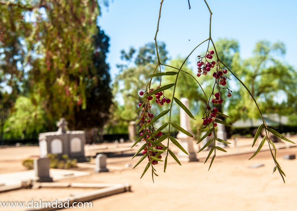 DalmDad's Photo and Travel Blog: The Yorba Cemetery - Yorba Linda ...