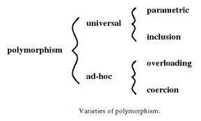 Biology Vocabulary Terms: Evidence of Evolution