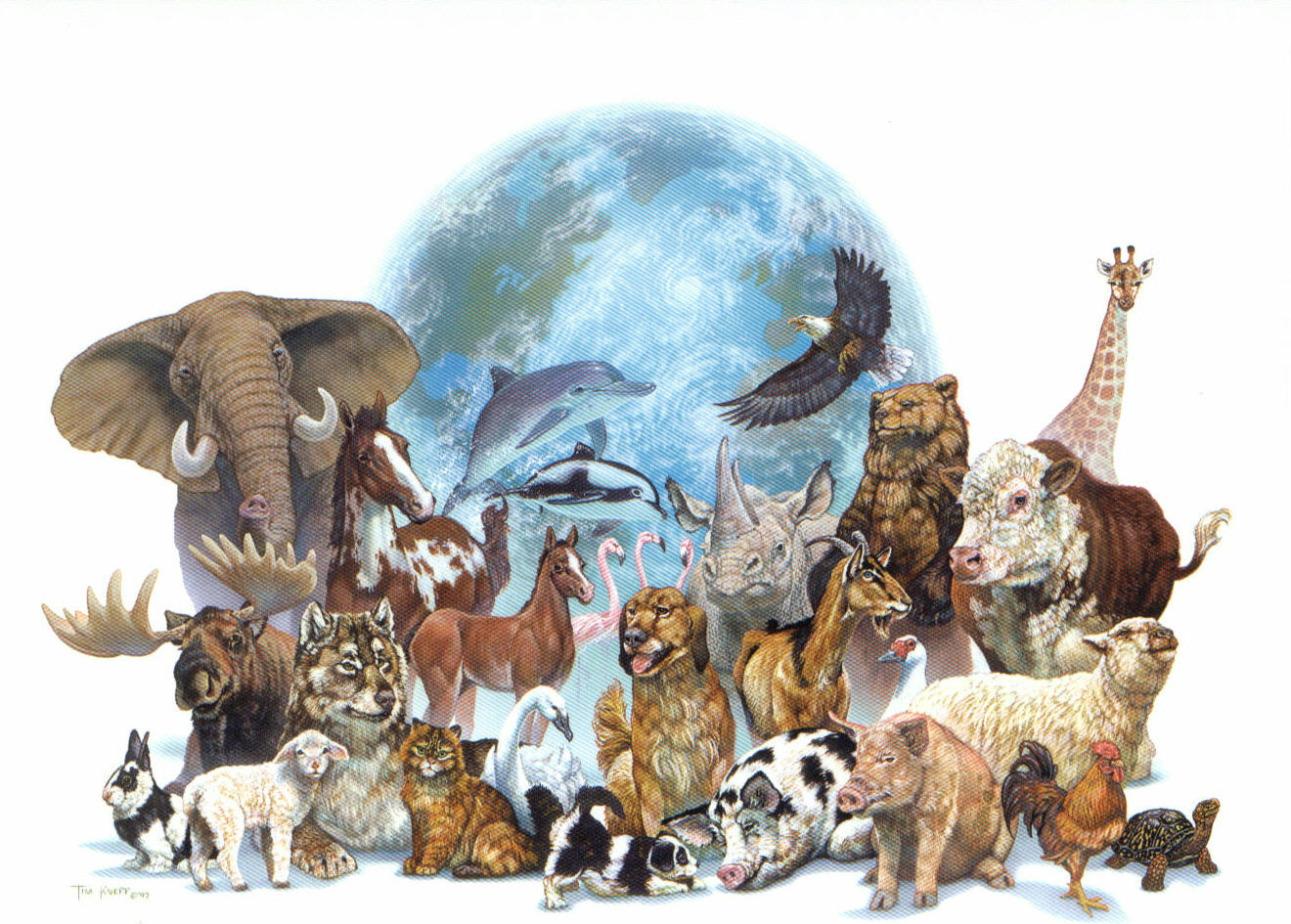 Gran Mundo De Los Animales: Los Animales