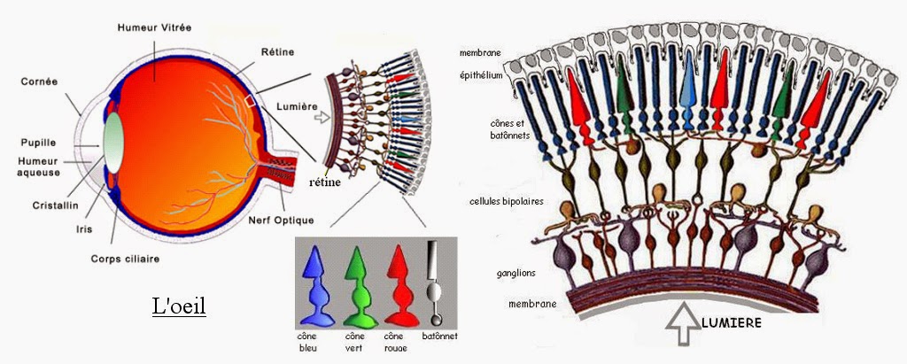 Le blog-notes de la Mansarde: 01/11/14 - 01/12/14