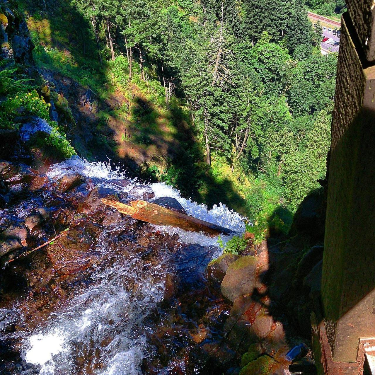 Mongo Goofy: Explore