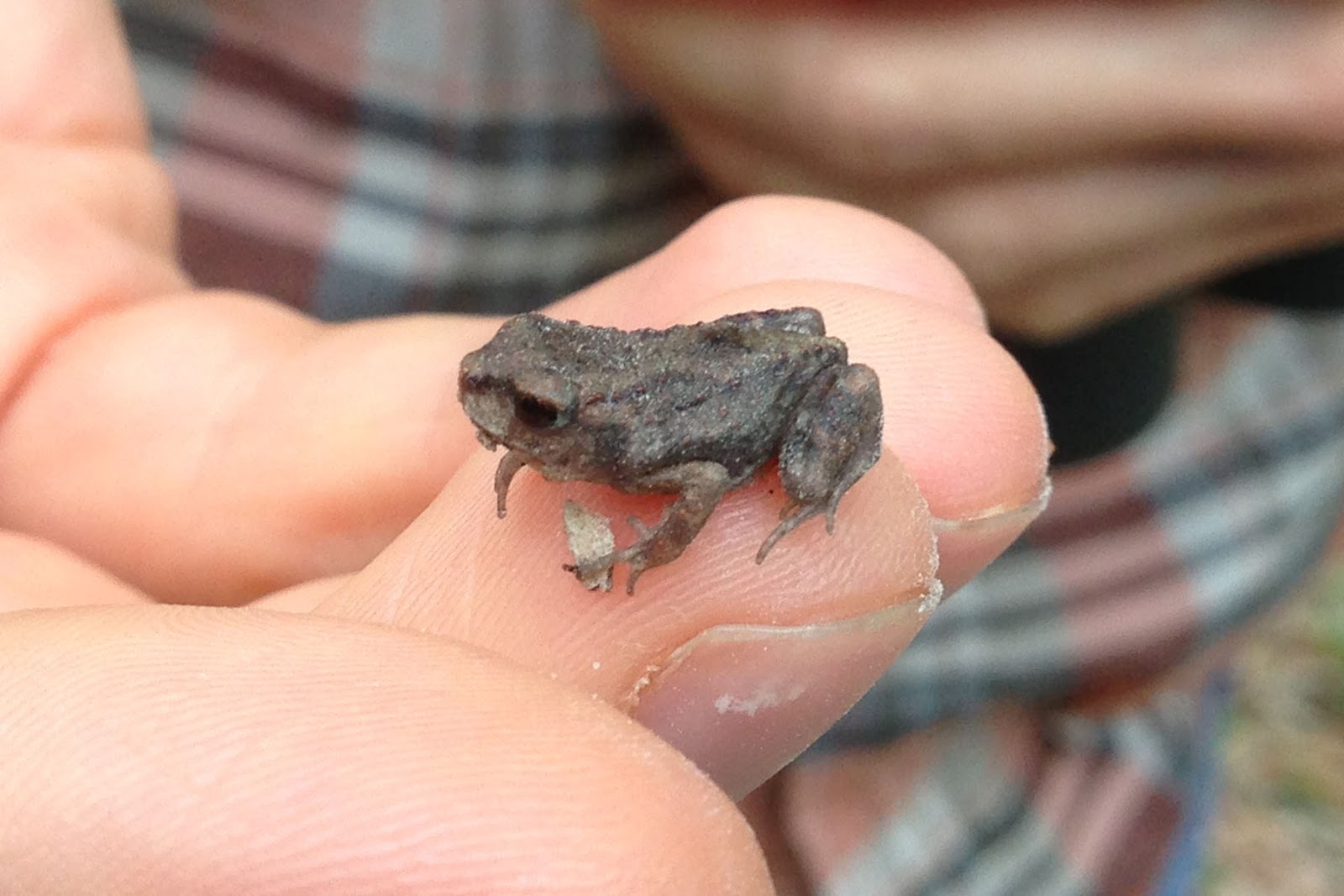 Hipster Birders: A Return to Webb Wildlife Center