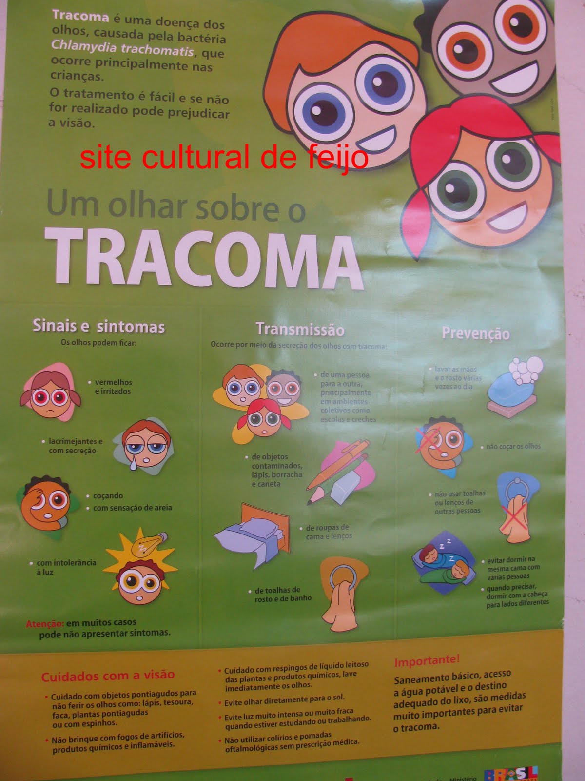 Tracoma: Doenças dos Olhos - Site Cultural de Feijó
