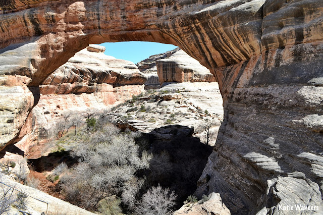 Katie Wanders : Moki Dugway and Natural Bridges National Monument