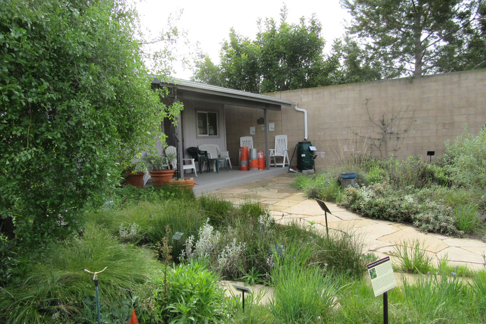 Mother Nature's Backyard - A Water-wise Garden: Current Photos of ...