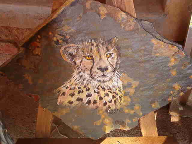 DIE BYBELBOEKWURM (vir Kinderkerke): ESMé WALKER: KUNSTENAAR