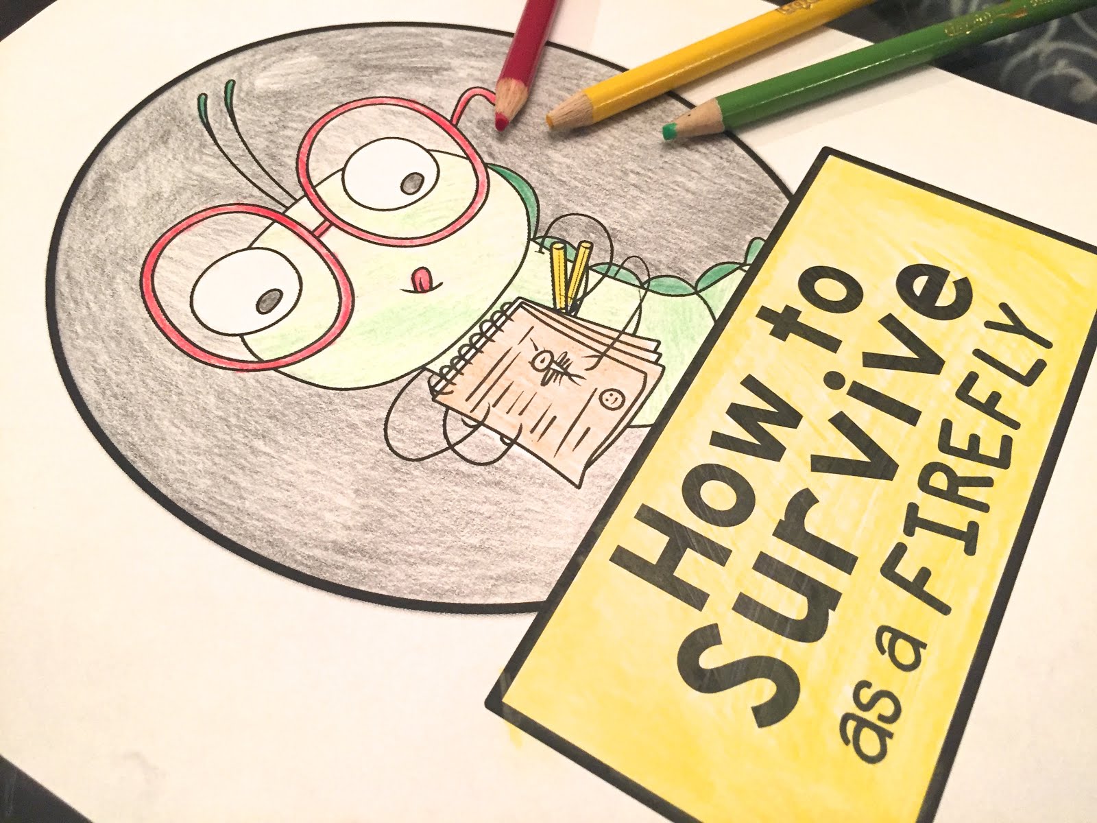 FREE How to Survive as a Firefly Life Cycle Flip Book | The Barefoot ...