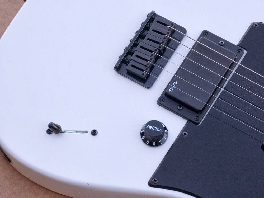 Rex and the Bass: Fender Jim Root Signature Telecaster Electric Guitar ...