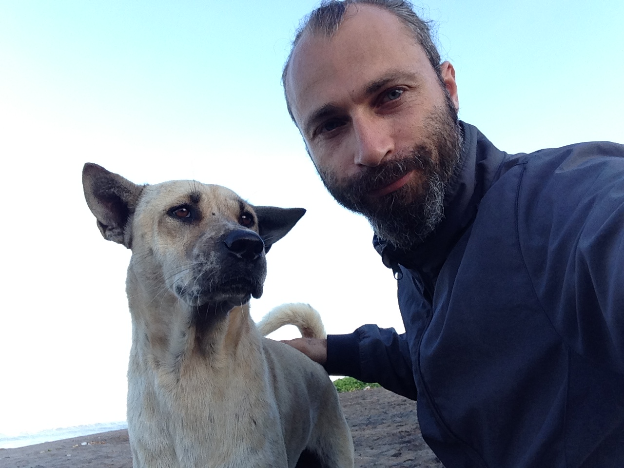 Do you believe in dog?: The importance of studying free-ranging dogs ...