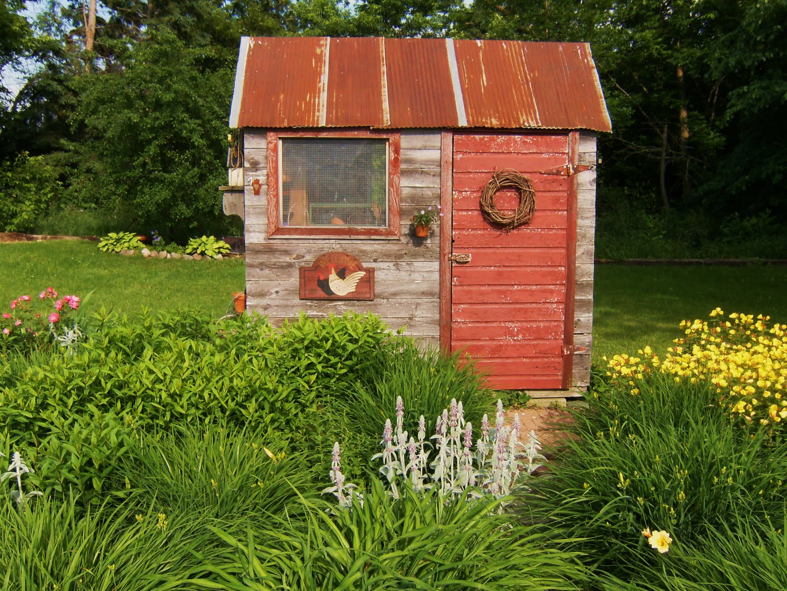 Bittersweet Farm: Gardens around farm buildings...