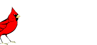 Nash Animations: Cardinals Animation