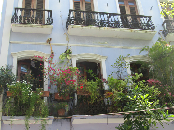 Rhinestone Religion: Pictures from Puerto Rico