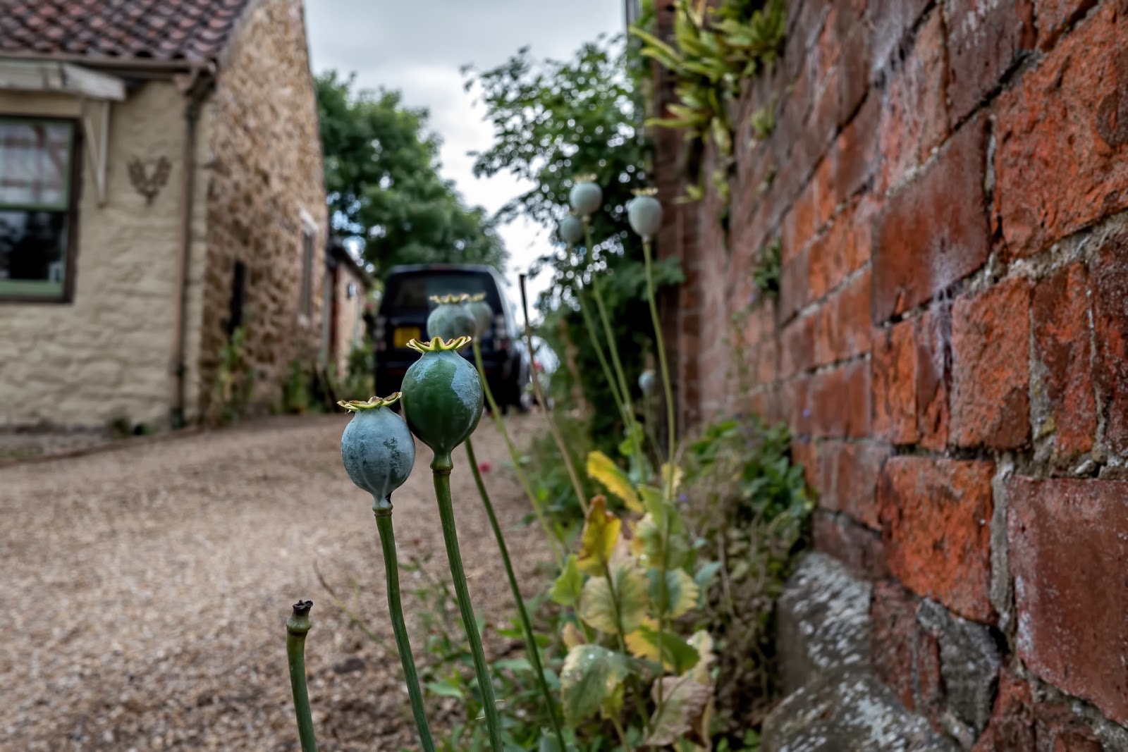 Lincolnshire Cam: Tealby village in Lincolnshire. (3 of 4)