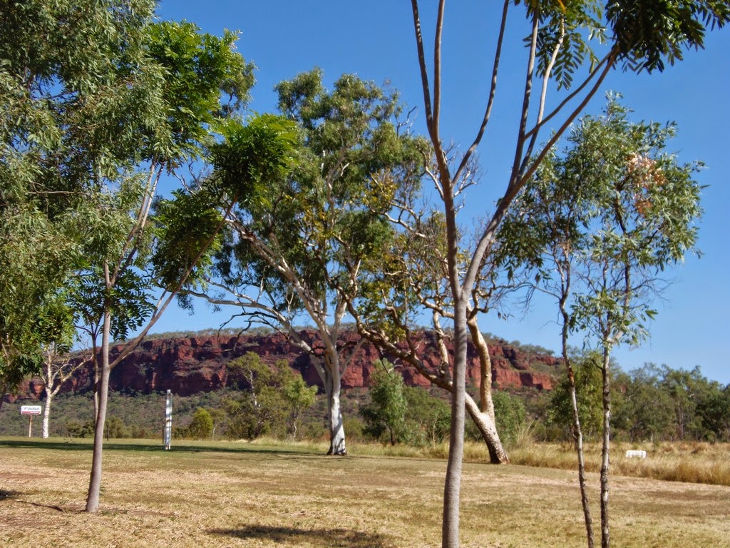 Solo Steve On The Road: VICTORIA RIVER ROADHOUSE NT