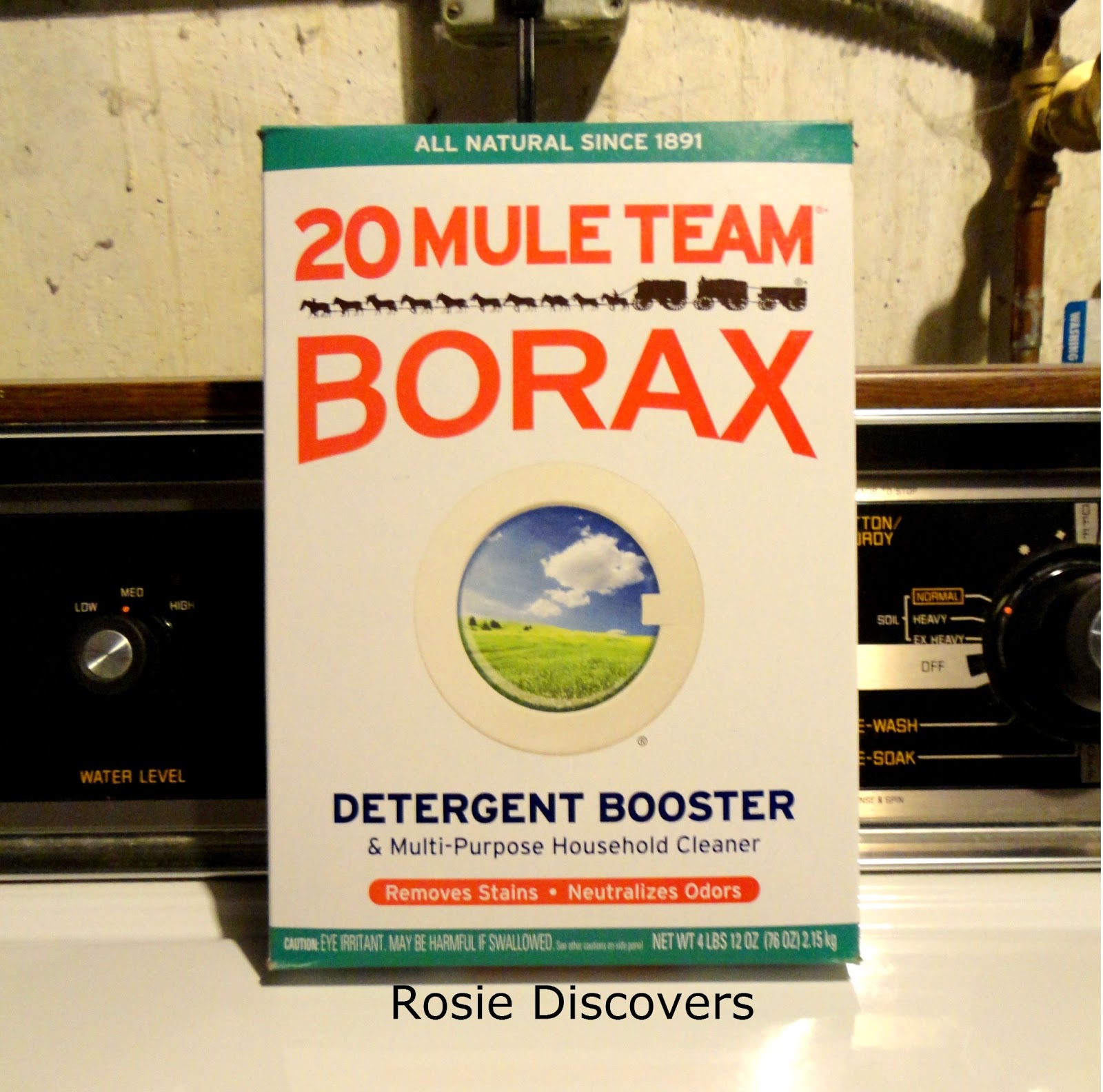 Got Stubborn Stains? All you need is Borax! - Rosie Discovers