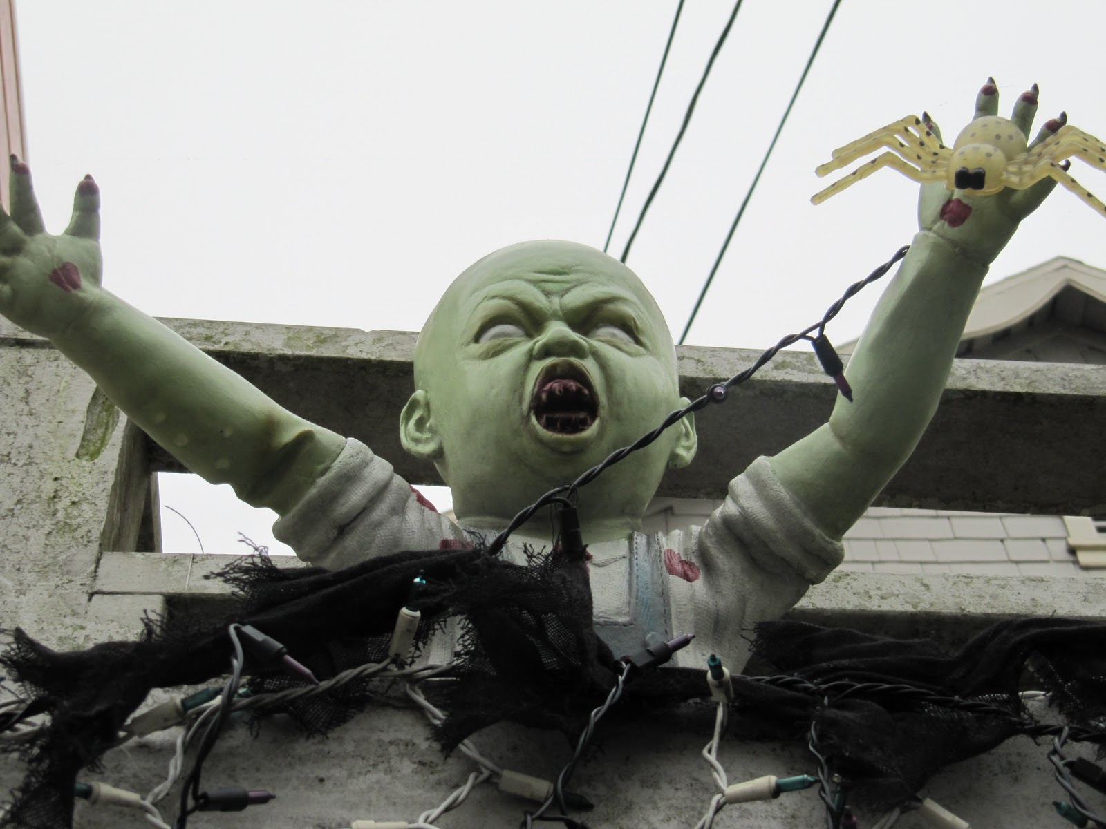 my life on the e-list: the snapshots: monster baby