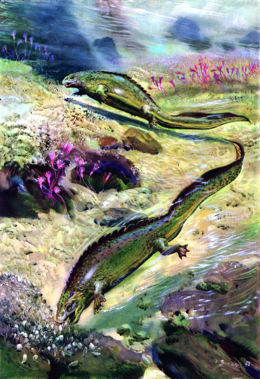 placodus_gigas_by_zdenek_burian_1962.JPG (1099×1600) | Prehistoric ...