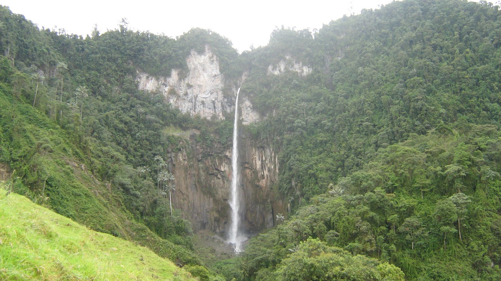 ARBITRAJE DE AJEDREZ: Villamaría (Caldas) IRT Torneo Ajedrez Clásico ...
