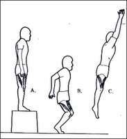 ginnastica posturale e personal trainer: La pliometria