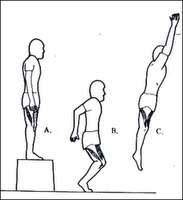 ginnastica posturale e personal trainer: La pliometria