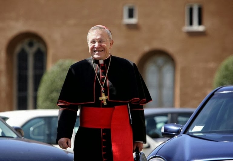 PIETRE VIVE: Intervista al cardinale Walter Kasper «Alla Chiesa serve ...