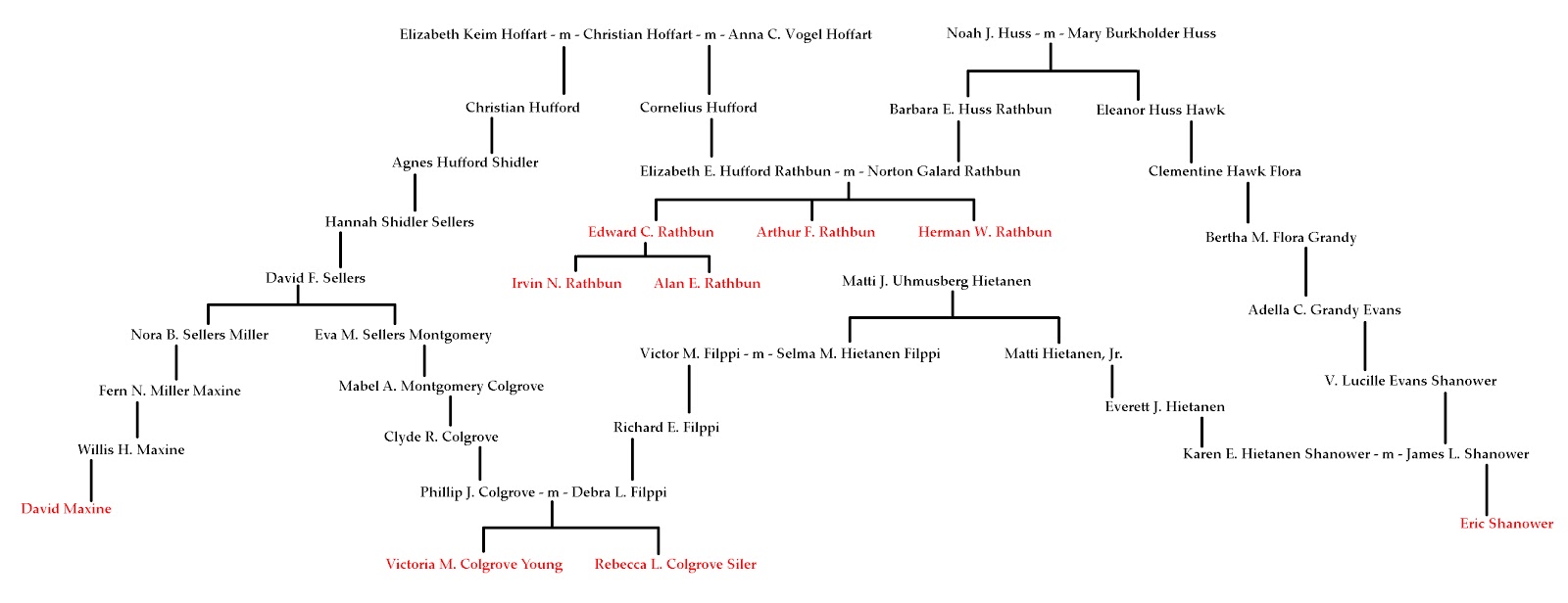 Several Times Removed: Cousins in Common: The Rathbuns