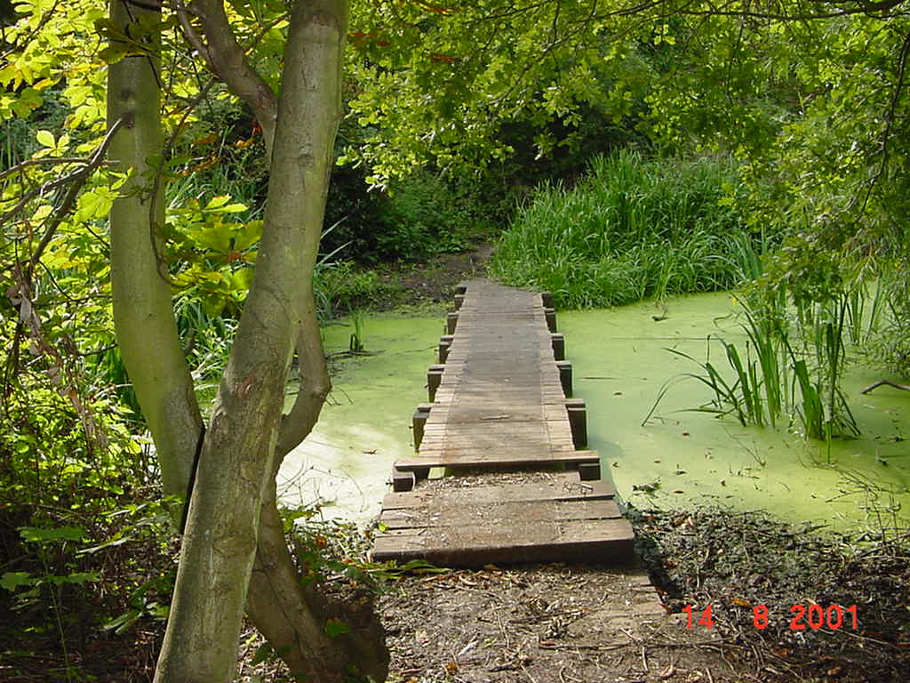 Brockley Central: Dacres Wood Open Day, 27th March | The online home ...