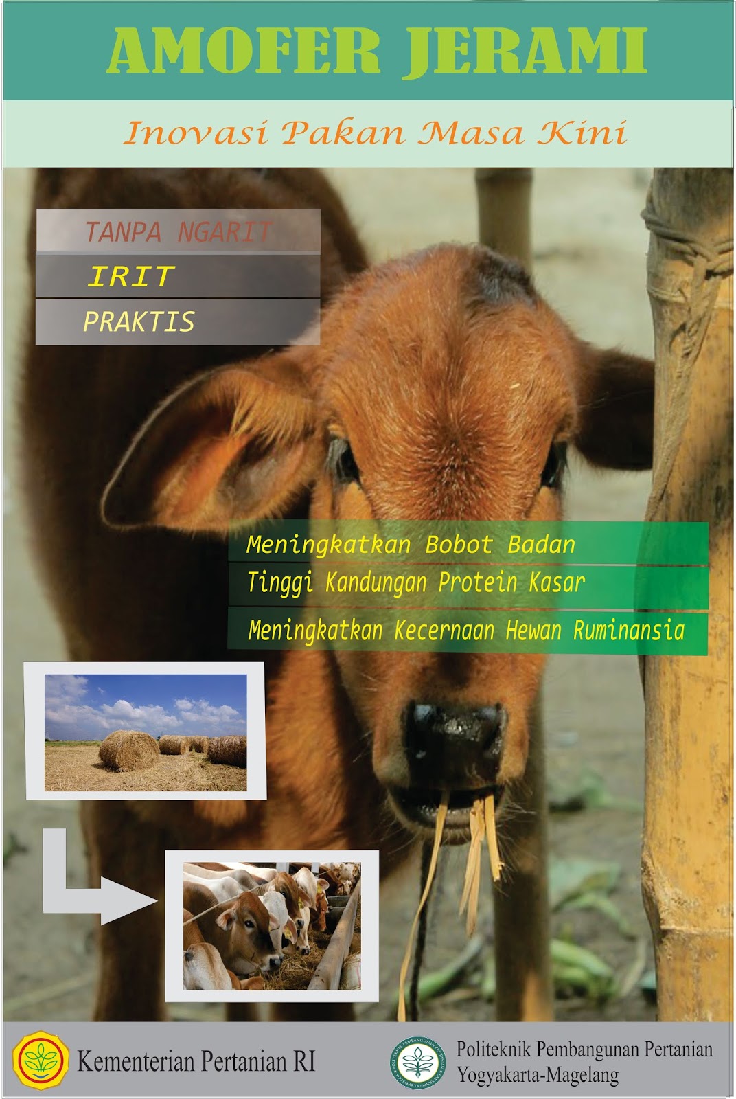 POSTER MEDIA PENYULUHAN