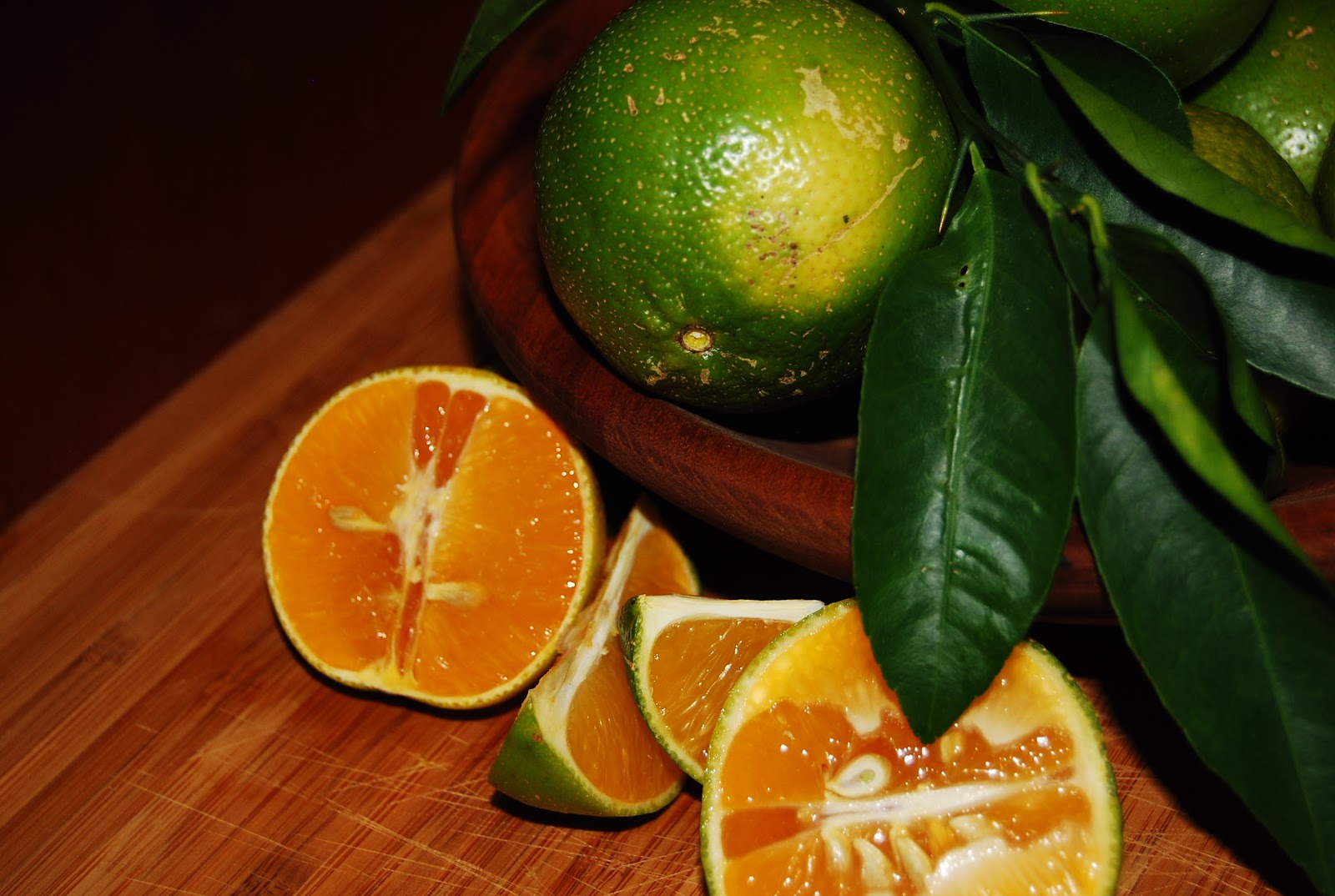 Helen A. Lockey: Red Limes, Atala Butterflies and More in South Florida