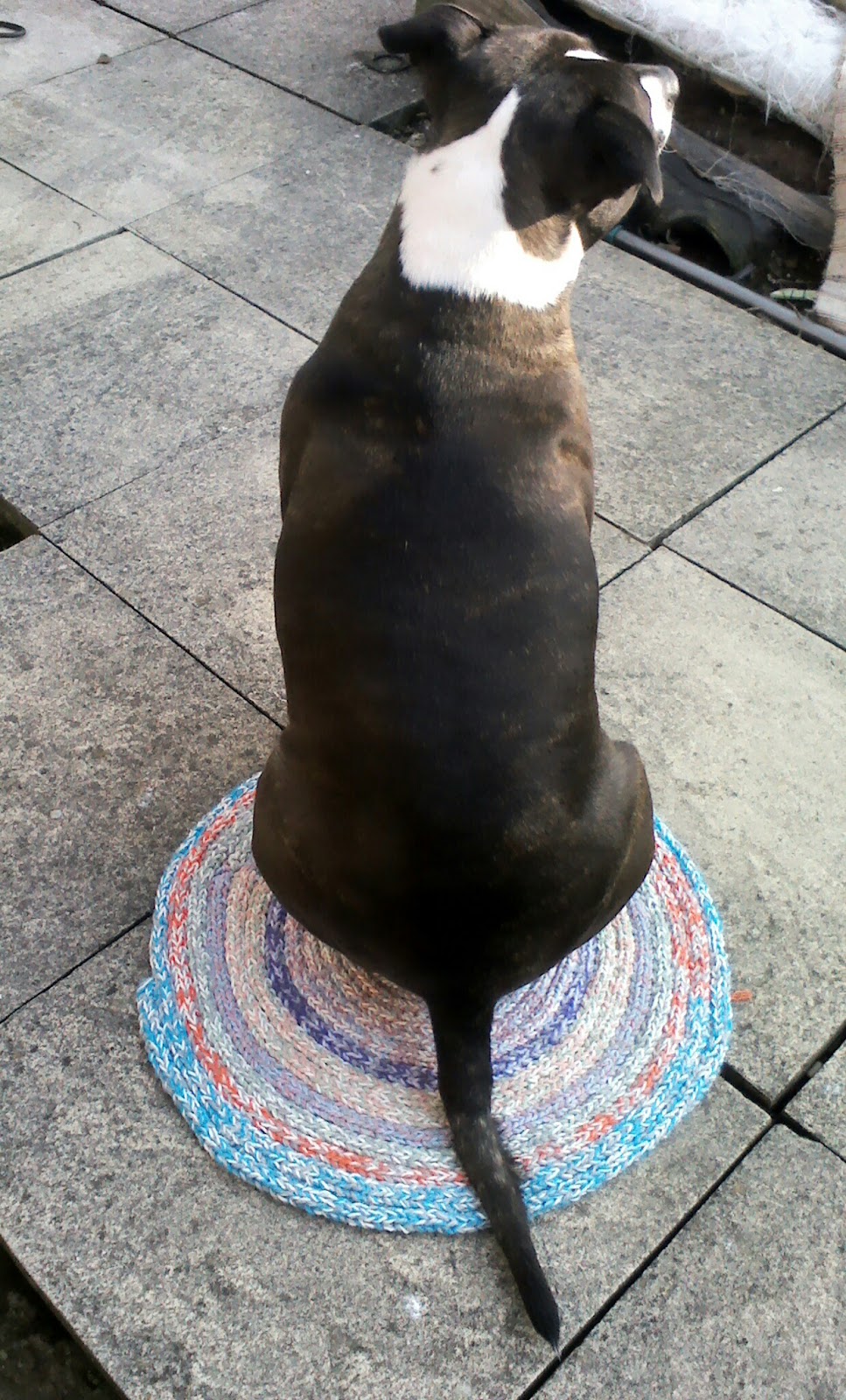 Once upon a Yorkshire gal♥