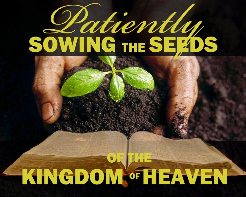 Welcome to Frank's blog: Sowing The Word Into Your Life And Experience