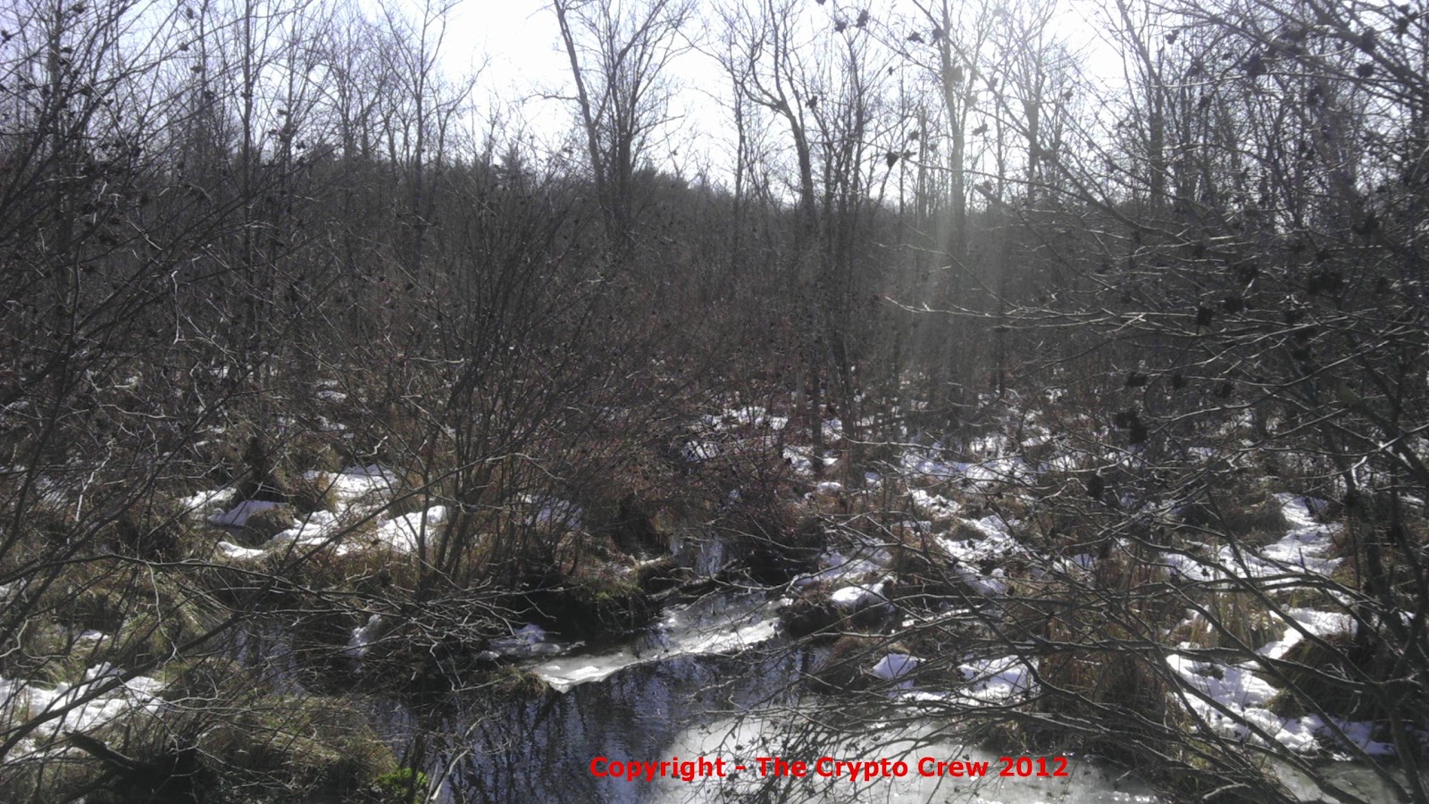 Breaking News! - Possible Bigfoot seen in New Hampshire !(Update) ~ The ...