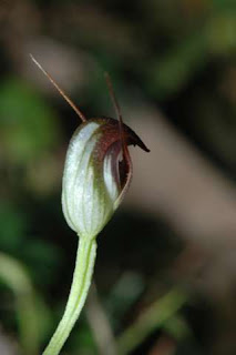 The Nature of Robertson: If you're not pissed off at the world, then ...