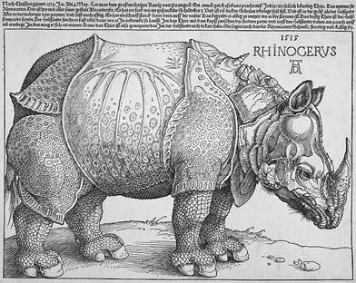 TURISMO IN CANADA: IL RHINOCEROS PARTY OF CANADA