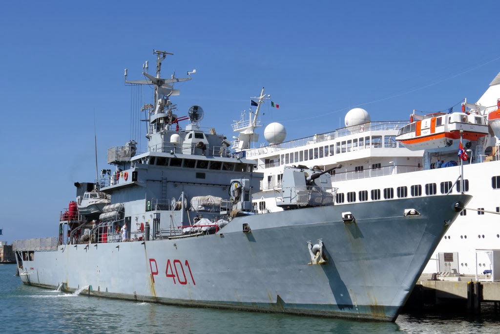 Livorno Daily Photo: Cassiopea