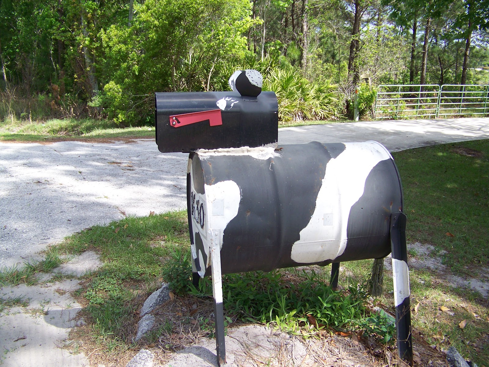 Our Nature: Mailbox Monday: Whole-y Cow